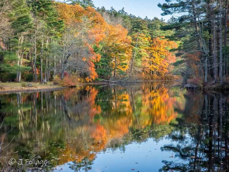 27 October 2023, Fall Foliage Report - New England Fall Foliage